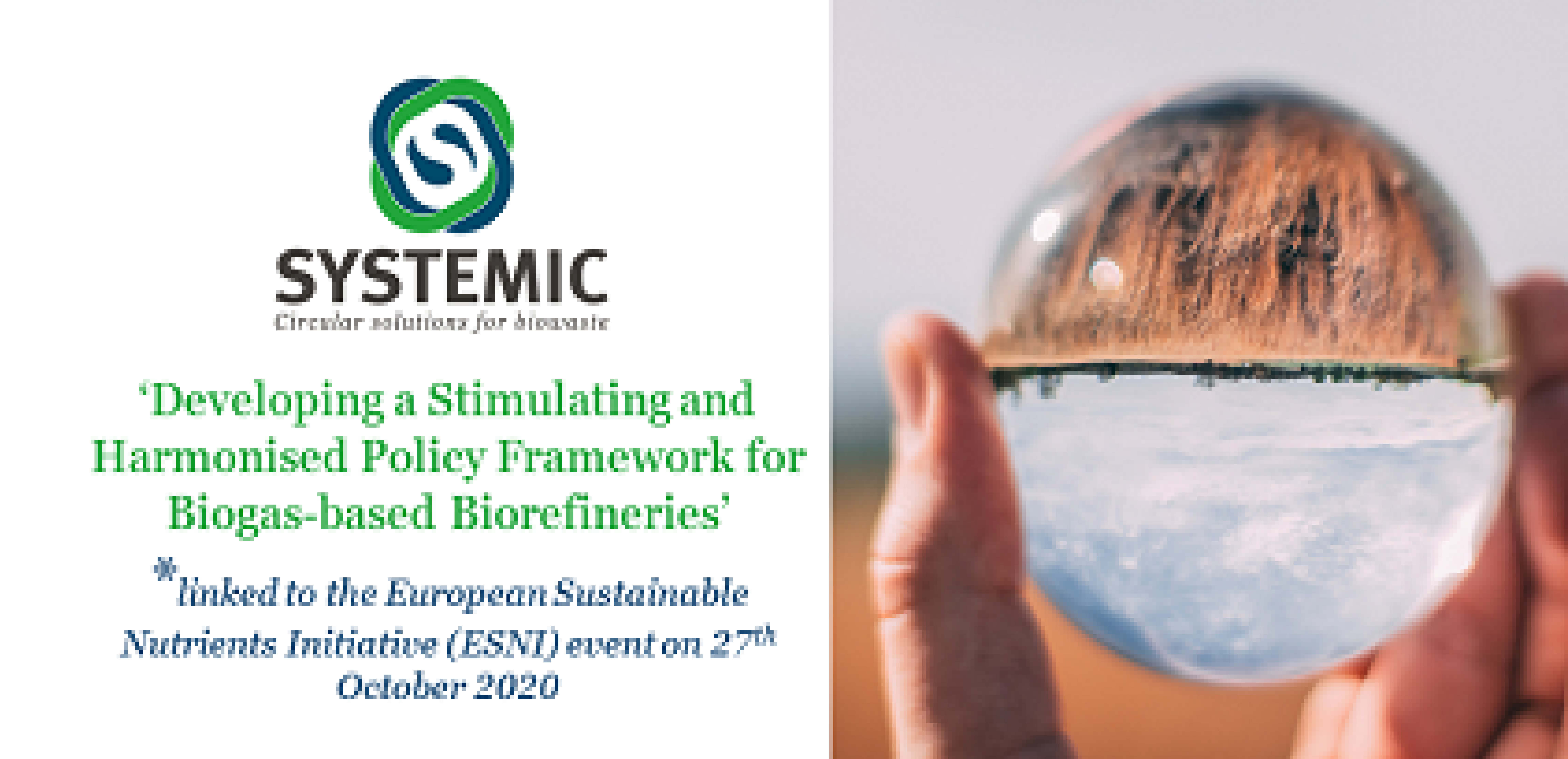 Systemic Workshop New Date Rise Foundation